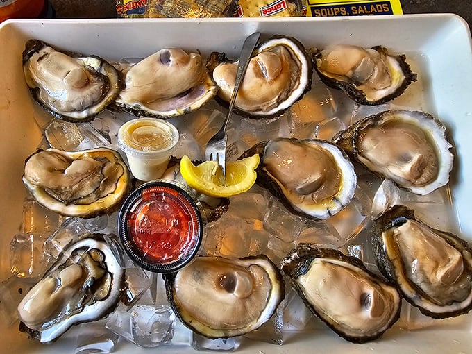 These oysters aren't just served; they're presented like the coastal jewels they are&mdash;briny, beautiful, and begging for a squeeze of lemon.