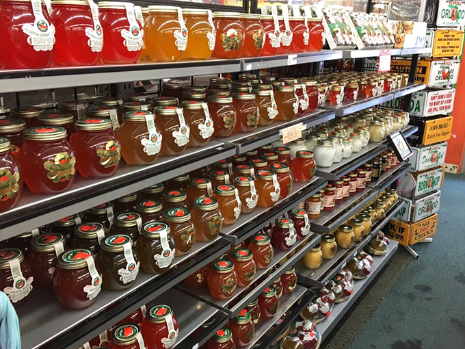Jars of liquid sunshine line the shelves, each preserving Florida's citrus bounty in sweet, spreadable form.