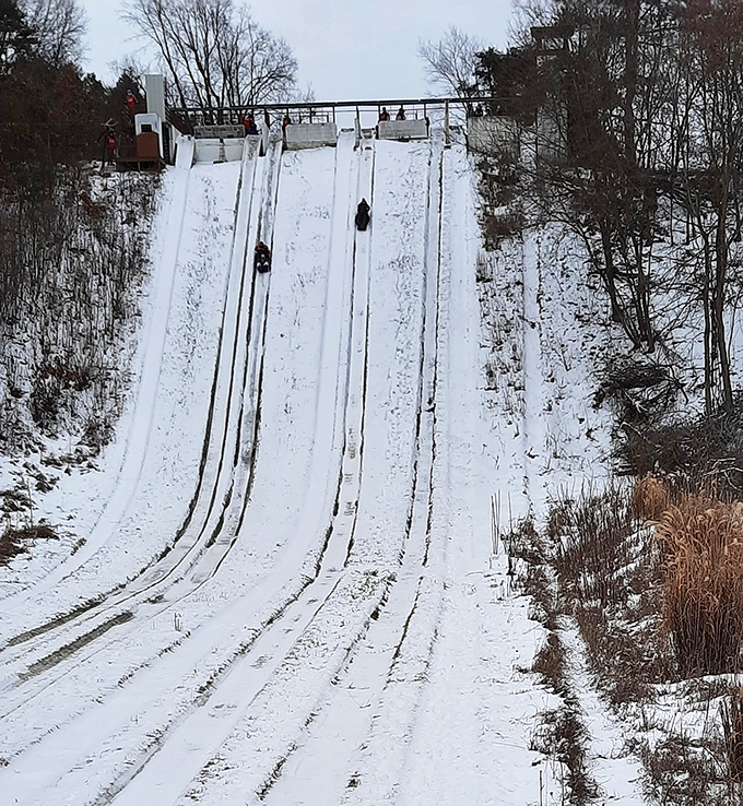 Tobogganing at Echo Valley isn't just an activity &ndash; it's a masterclass in controlled chaos that delivers speeds up to 60 mph!