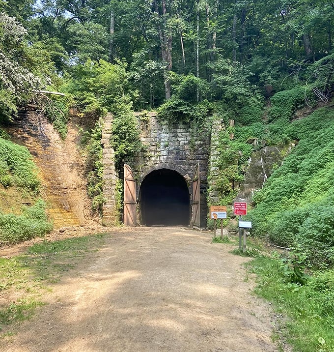 Another tunnel entrance stands sentinel in the hillside &ndash; moss-covered stonework telling tales of 1870s engineering prowess.