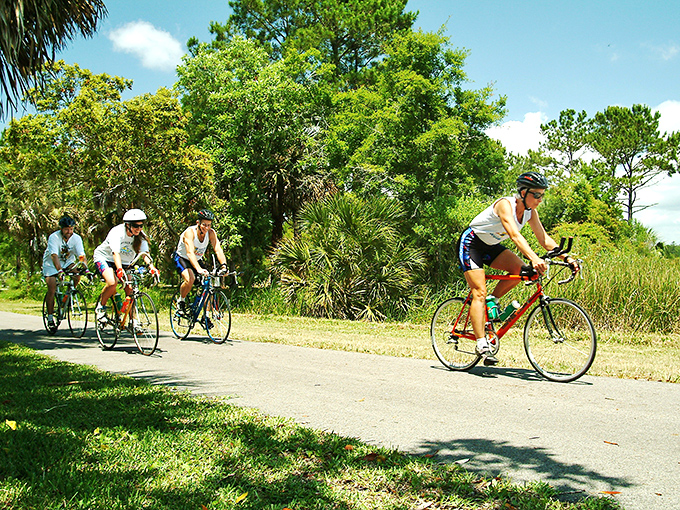 Cyclists enjoying the smooth, scenic paths that wind through the natural beauty of Florida's Big Bend region.