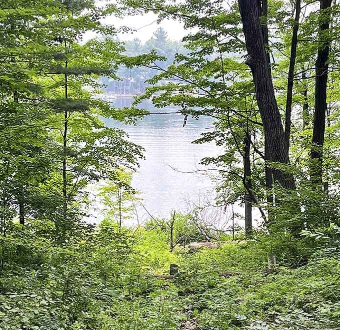 Peek-a-boo lake views through emerald sentinels – Mother Nature's version of a teaser trailer for the main attraction.