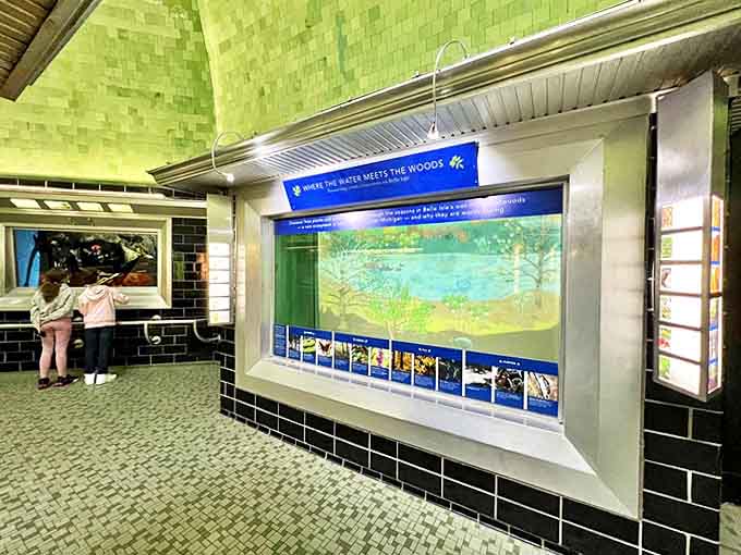 Interactive displays bring aquatic education to life, making complex ecosystems understandable for visitors of all ages.