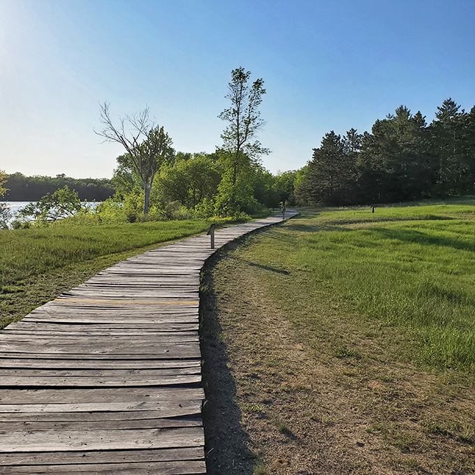 This wooden boardwalk meanders through verdant wetlands, offering dry passage while nature flourishes undisturbed all around.