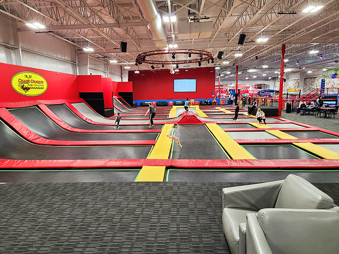 Indoor trampoline: Where children burn enough energy to power a small city and adults discover muscles they forgot existed since high school.