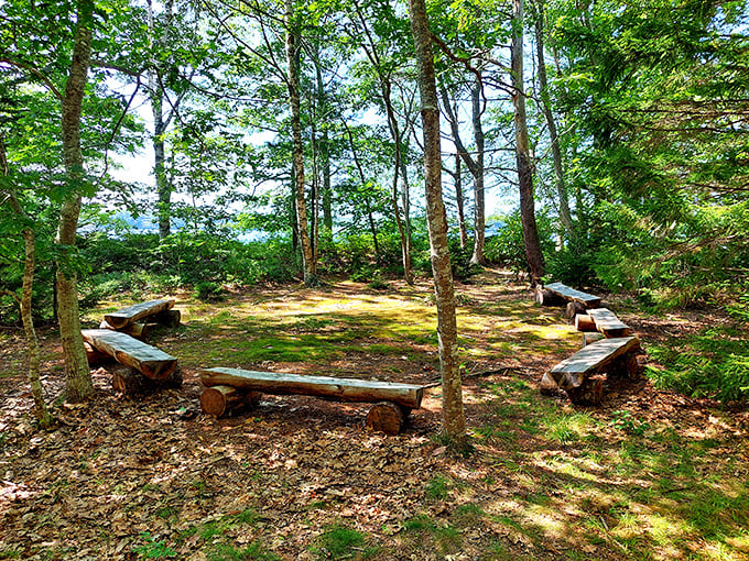 The Memorial Grove's rustic log seating creates nature's perfect gathering spot, where conversations flow as freely as the nearby rivers.