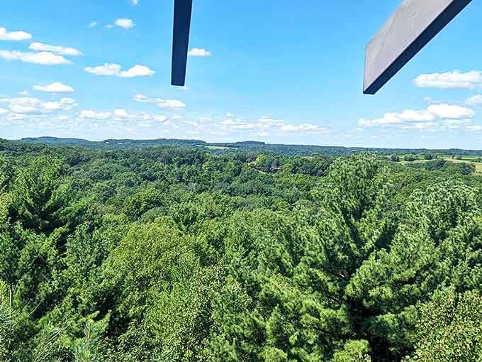 Nature puts on her finest show from this vantage point &ndash; miles of Wisconsin wilderness unfurling like a green carpet below.