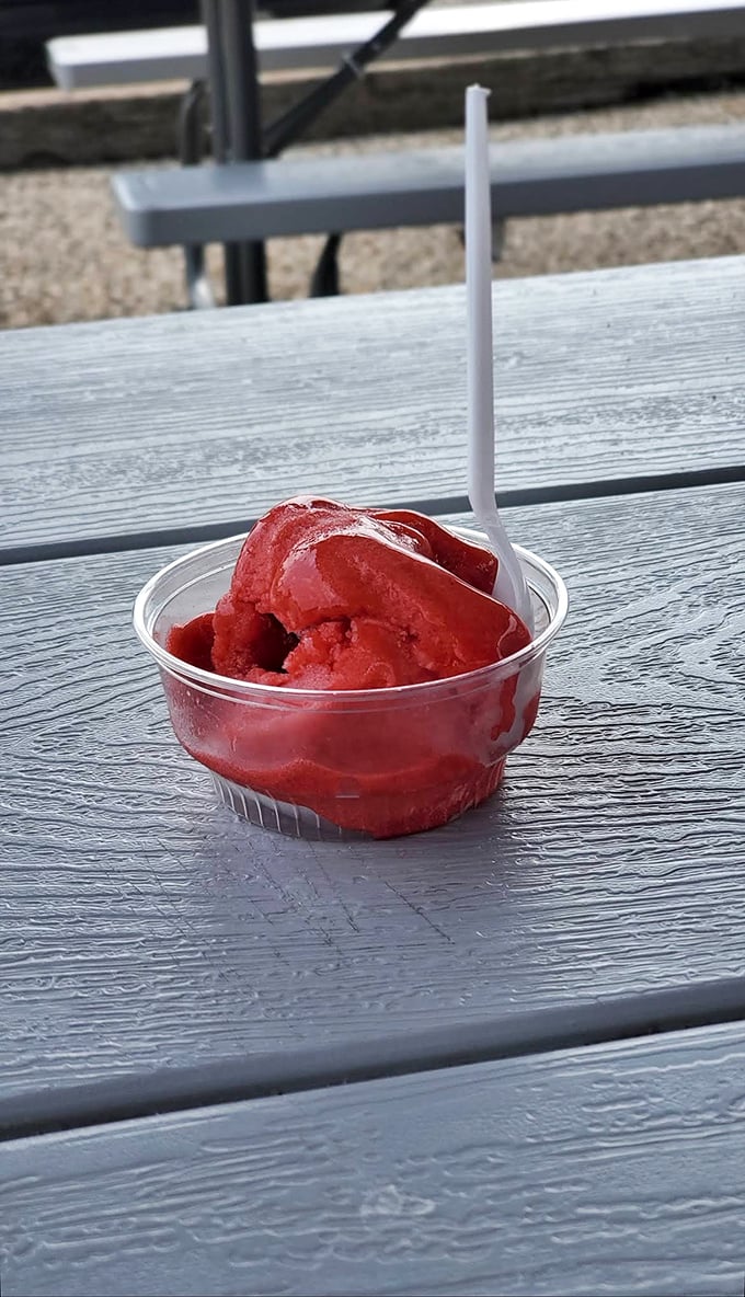 Ruby red raspberry sorbet sitting pretty – summer in a cup that's worth every refreshing, tongue-tingling spoonful.