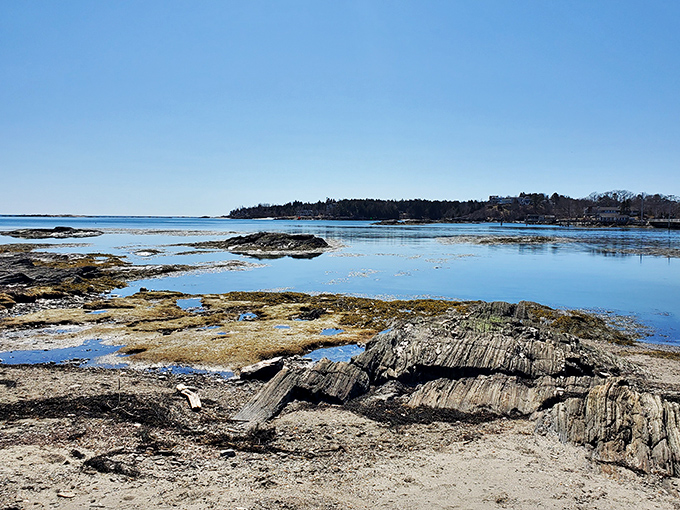 Low tide reveals the rocky coastline, where generations of Mainers have harvested the ocean's bounty.