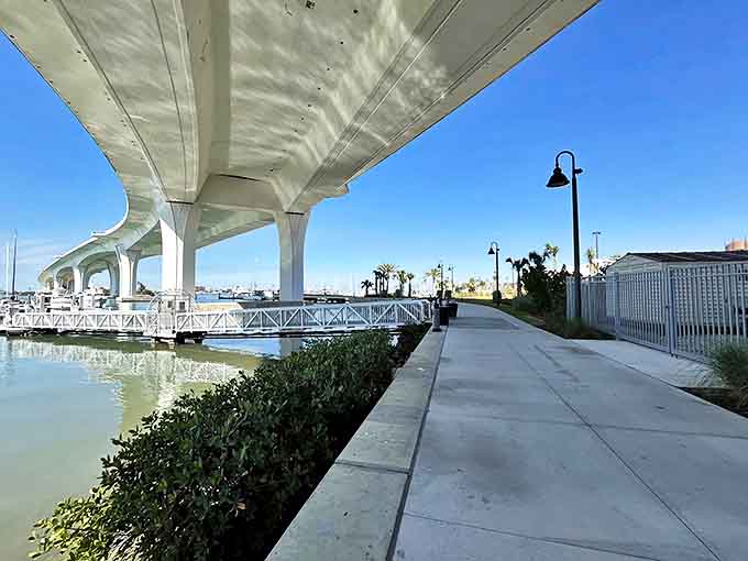 Beneath the causeway's massive span, a hidden world of shade and reflections creates nature's own light show.
