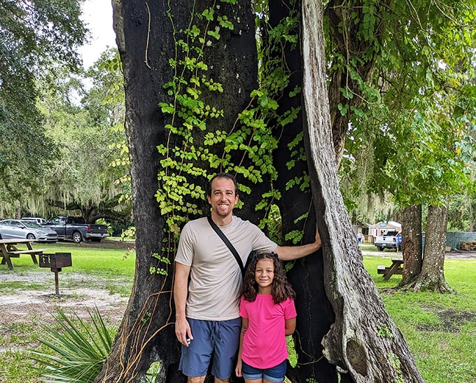 The hollow trunk of this ancient tree provides the perfect natural frame for capturing memories, a living photo booth courtesy of Mother Nature herself.