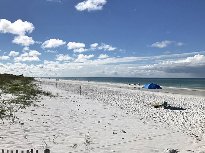 Grayton Beach State Park: Mother Nature showing off with sugar-white sands so fine they squeak underfoot like freshly fallen snow.