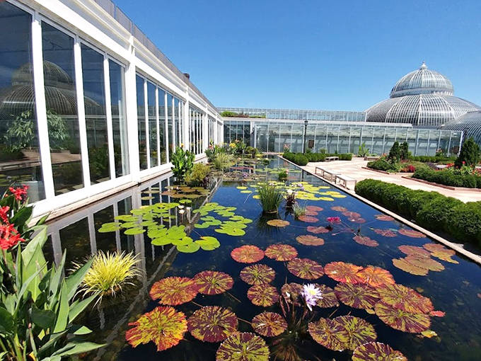 Water lilies create a floating masterpiece in this serene pond &ndash; Monet would've set up his easel here in a heartbeat!