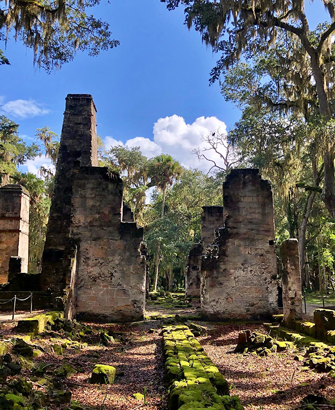 Ancient stone ruins at Bulow Creek stand as silent witnesses to Florida's plantation era. Nature slowly reclaims what humans once built, creating a hauntingly beautiful scene.