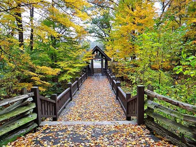 Autumn's golden carpet blankets the wooden bridge at Grant Park, nature's own yellow brick road leading deeper into enchanted Wisconsin woodlands.