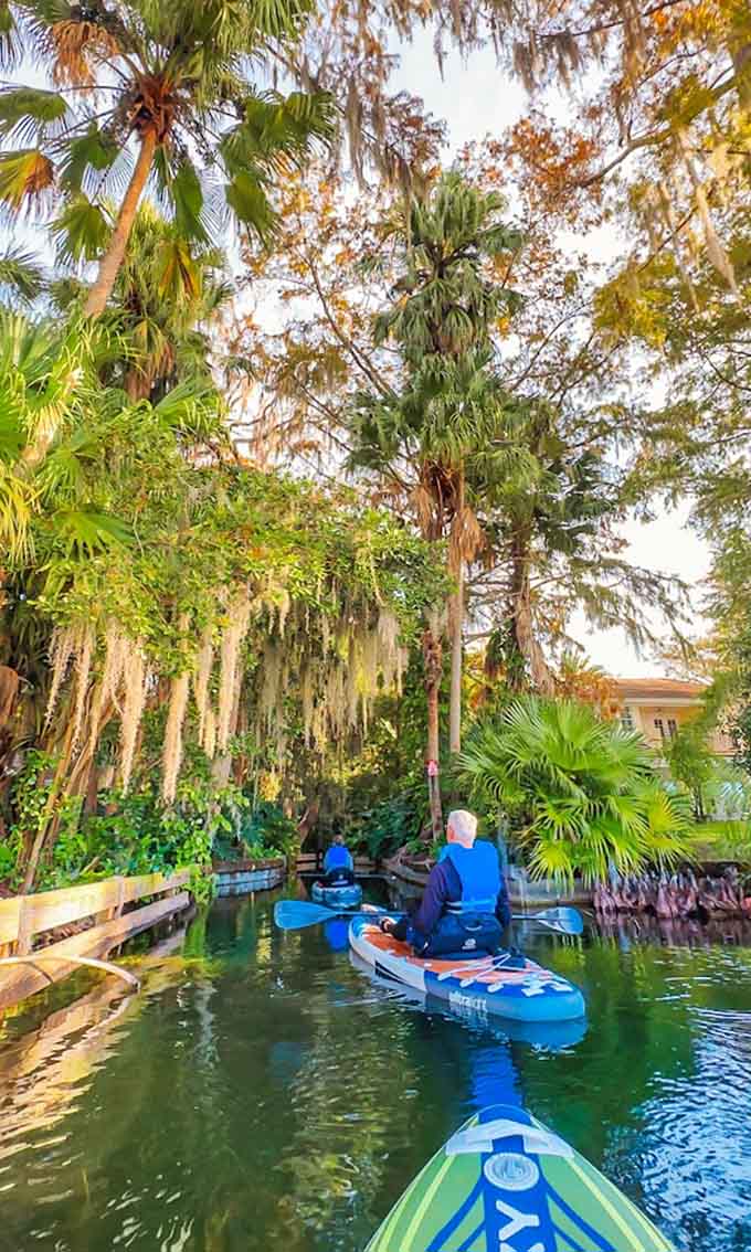 Paddling through Rock Springs Run feels like entering a secret world where crystal-clear water and Spanish moss create pure magic.