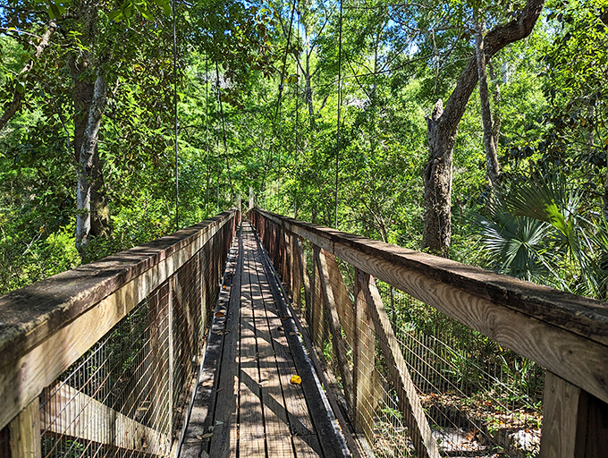 A suspended walkway invites adventurers to cross Ravine Gardens State Park's natural wonders, where every step reveals new perspectives of this hidden gem.