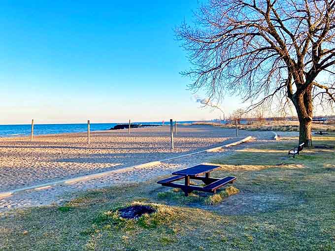 Morning light bathes Lake Michigan's sandy shores at Grant Park, where a lone picnic table waits patiently for families to create summer memories.