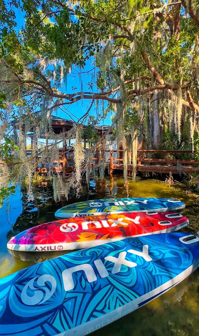 These colorful paddleboards wait patiently to carry adventurers through some of Central Florida's most stunning natural waterways.