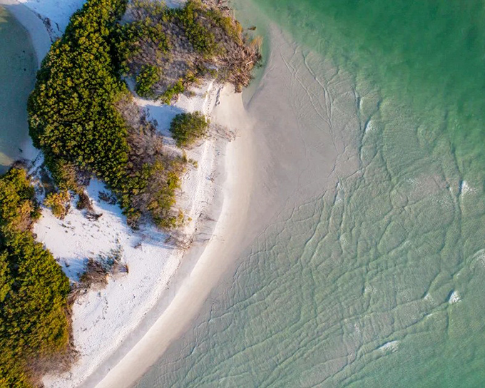 Untouched shorelines and emerald waters make Shell Key Preserve feel like your own private island paradise.