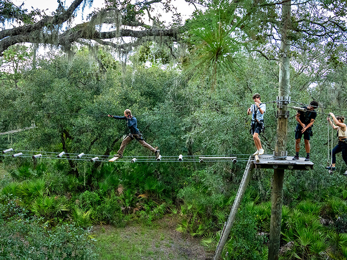 Thrill-seekers tackle TreeUmph's suspended obstacle course, where wobbly steps and careful balance transform a simple crossing into an exhilarating achievement.