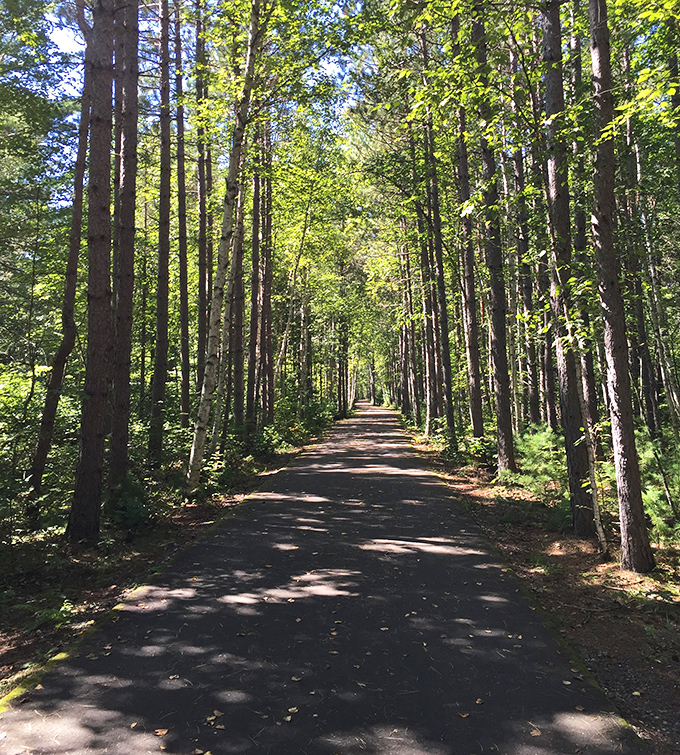 This tree-lined trail invites wanderers to discover what lies beyond each bend &ndash; nature's version of "just one more episode."