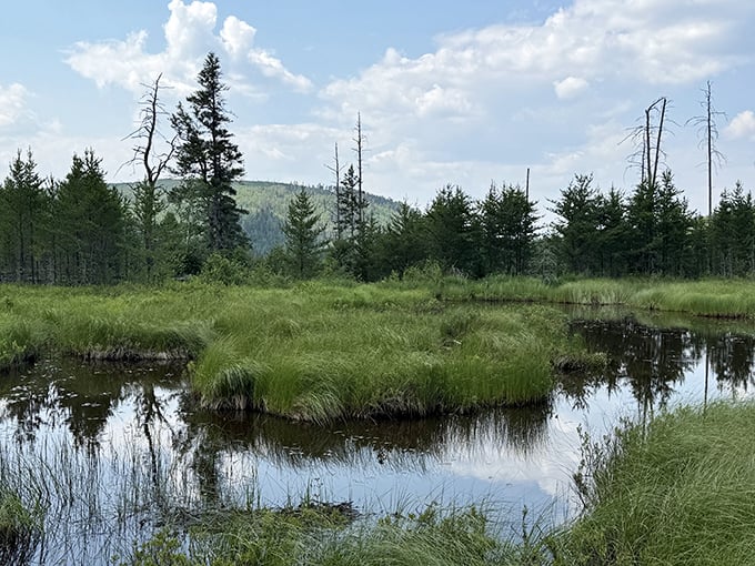 Minnesota's version of island living &ndash; patches of green floating in mirror-like waters, reflecting clouds that drift lazily overhead.