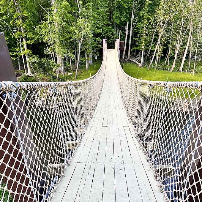 Walking this suspension bridge feels like starring in your own adventure movie &ndash; just try crossing without making that Indiana Jones theme song in your head.