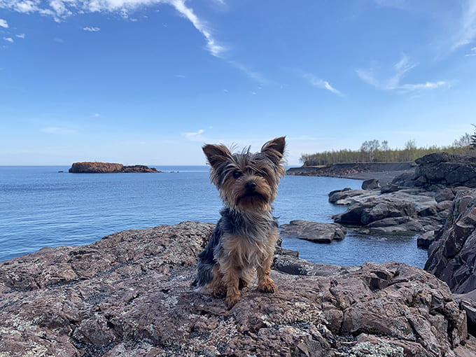 Even four-legged visitors appreciate the unique landscape, though they're probably more interested in the smells than the geological significance.