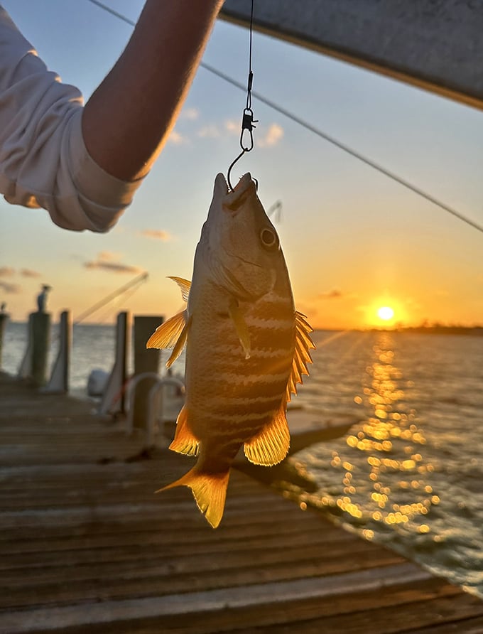 Fresh catch at sunset &ndash; when dinner practically volunteers itself and tastes infinitely better than anything with a price tag.