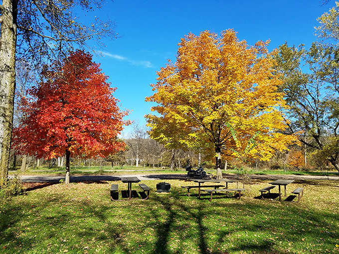 Flandrau State Park explodes with autumn colors that would make Mother Nature herself stop and say, "Nailed it!"