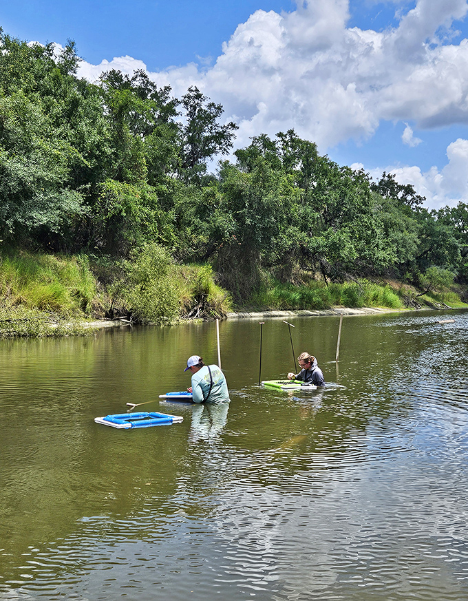Amateur paleontologists search the shallows, where every scoop might reveal a fossil older than human civilization.