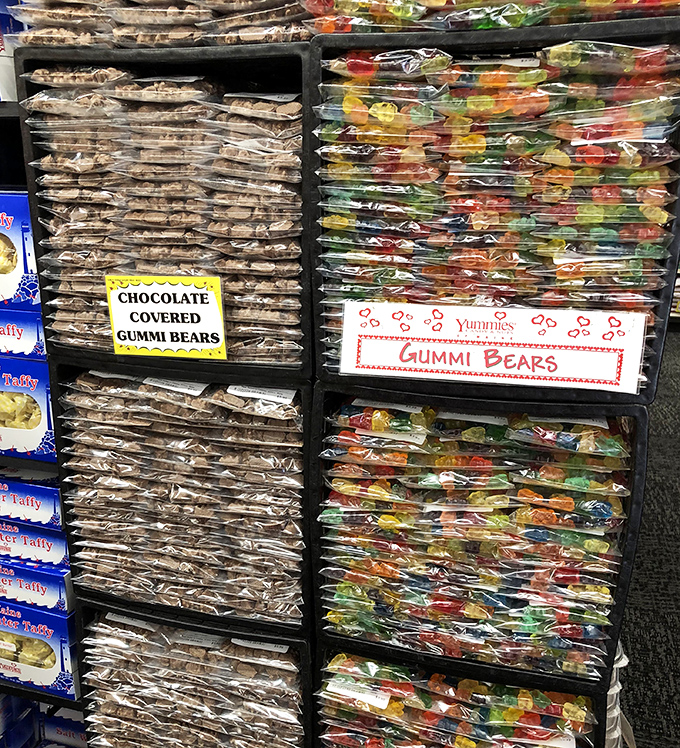 The gummy bear family reunion features both traditional colorful varieties and their sophisticated chocolate-covered cousins, satisfying different sweet cravings simultaneously.