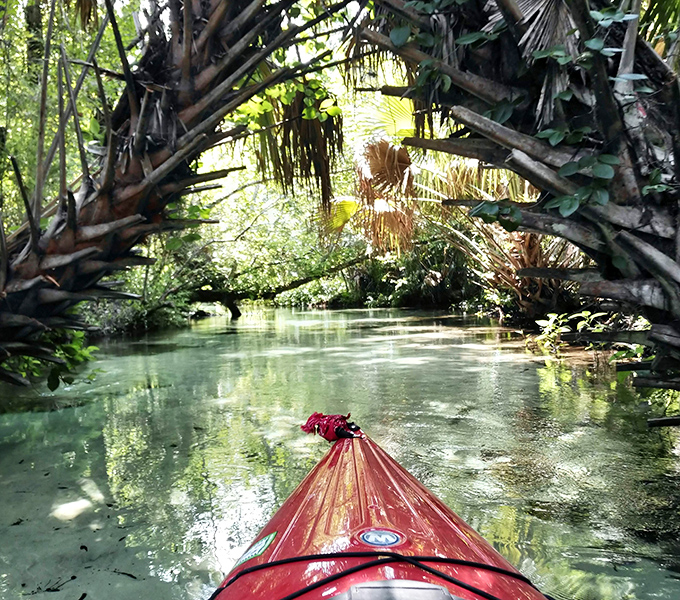 Nature's version of a water tunnel ride, minus the chlorine and screaming children. Kayaking here feels like entering another dimension.