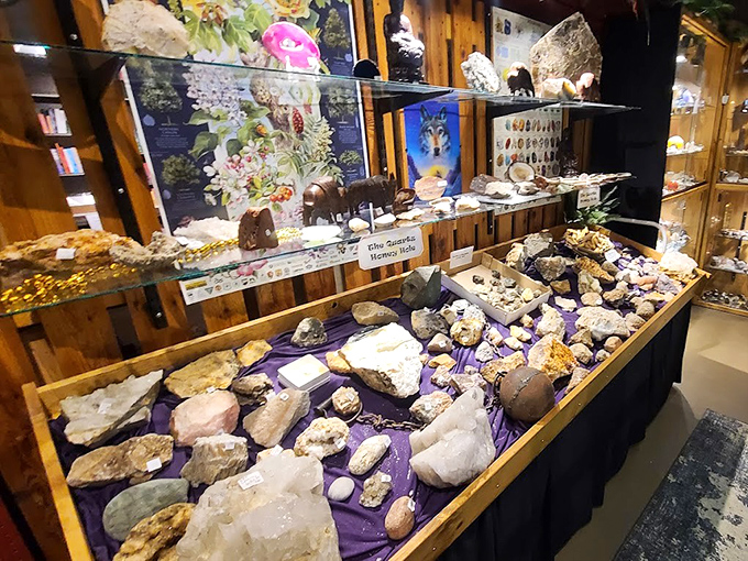 Purple velvet dramatically showcases an impressive collection of specimens, from massive quartz points to delicate mineral formations.