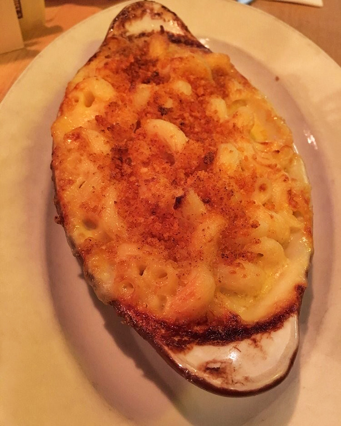 This isn't your childhood mac and cheese &ndash; it's what that mac and cheese grew up dreaming it could become.