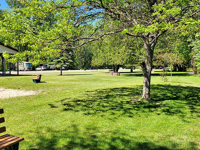 Pettit Park's serene landscape provides a peaceful retreat with its gentle stream, footbridge, and open green spaces for visitors to unwind.