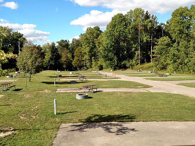 Picnic tables scattered beneath towering trees offer perfect spots for impromptu feasts and lazy afternoon conversations.