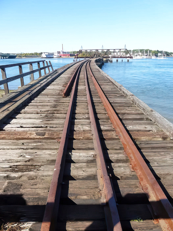 These rusty rails once carried beans to America's breakfast tables. Now they're just serving up hefty doses of nostalgia and tetanus warnings.
