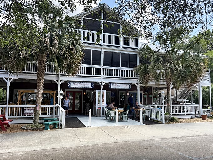 Shady Oak Gallery offers a perfect example of Micanopy's architectural charm, with its welcoming porch and palm trees.