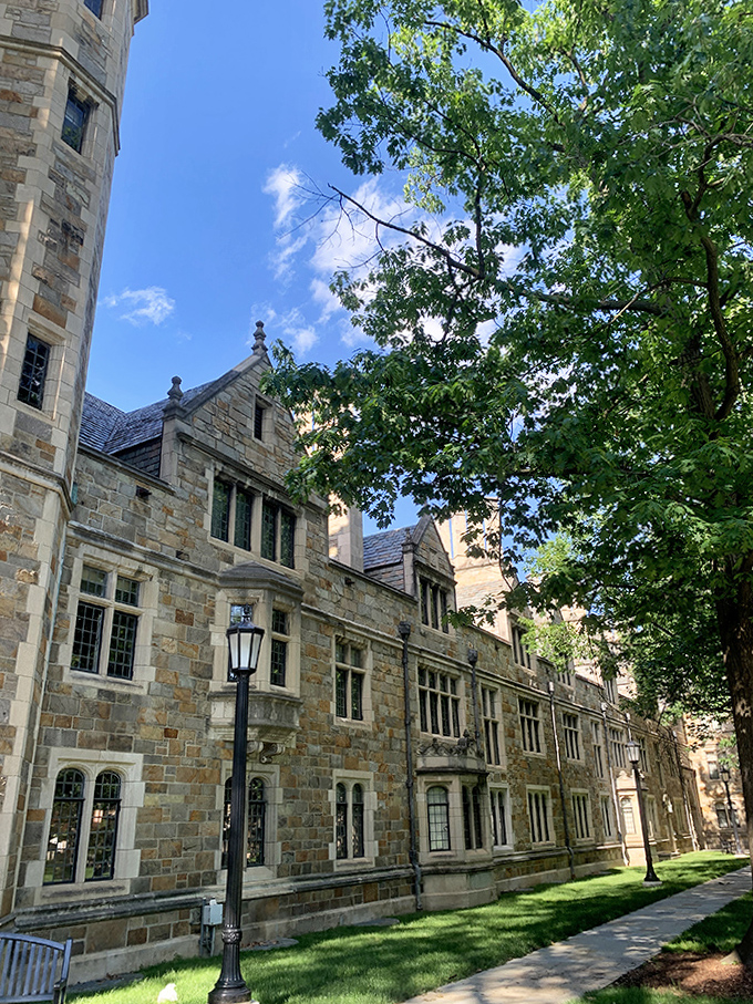 Weathered walls that have absorbed decades of brilliant legal theories, caffeine-fueled study sessions, and the occasional frisbee impact.