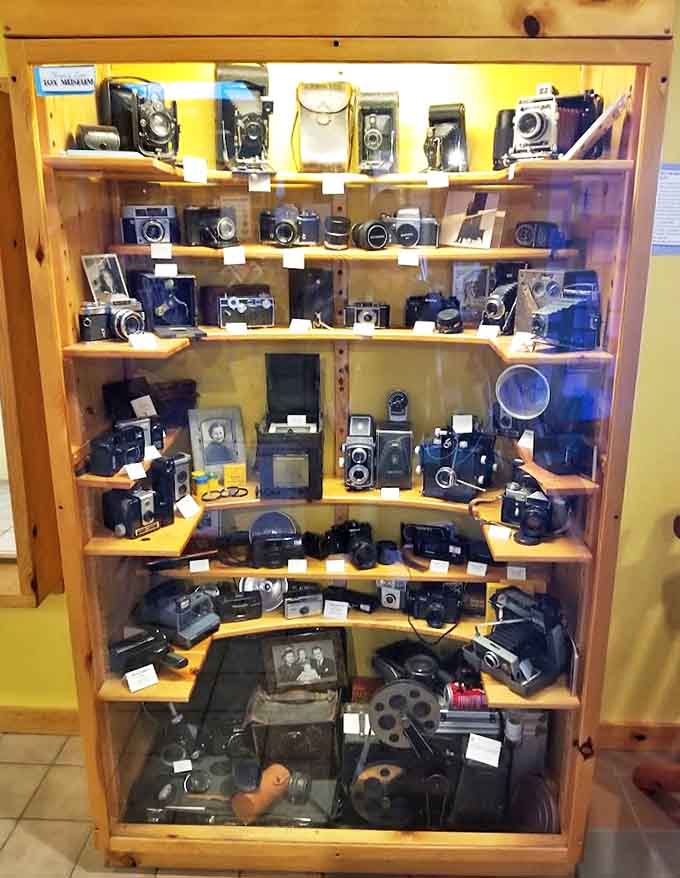 A time capsule of photographic history, the vintage camera collection showcases the evolution of how we've captured memories through generations.