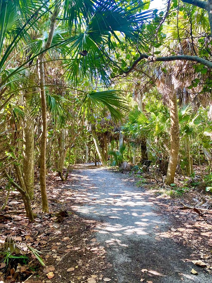 Jungle paradise! The preserve's interior trails offer cool shade and a glimpse into Florida's native coastal hammock ecosystem.