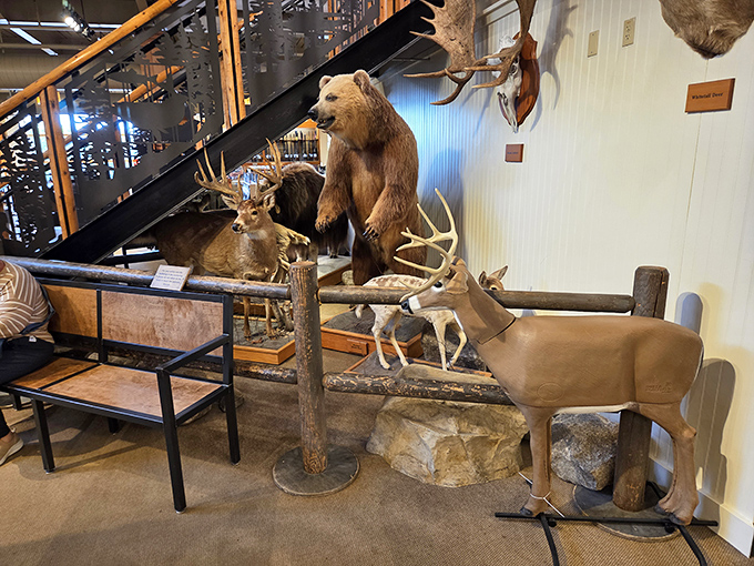 Nature meets retail as taxidermied wildlife creates an immersive outdoor experience, making you feel like you're shopping in the wilderness.