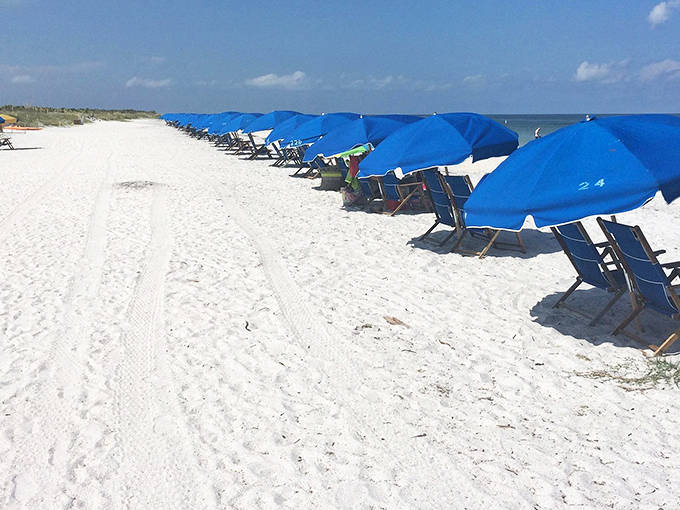 Blue umbrellas stand at attention along the beach, creating little islands of shade in an ocean of sunshine.