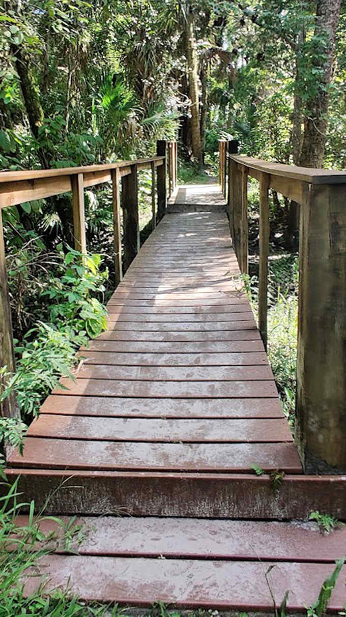 This wooden boardwalk isn't just a path – it's a front-row seat to nature's theater, where every step reveals a new scene.