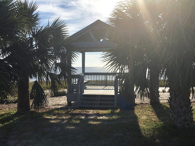 This charming coastal shelter promises shade and spectacular views, where conversations flow as easily as the Gulf breeze.