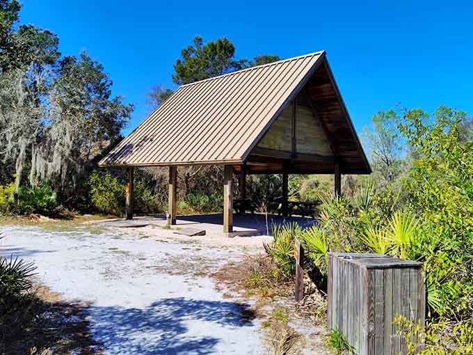 Shaded pavilions offer perfect spots for picnics where even basic sandwiches taste like gourmet meals in the fresh air.