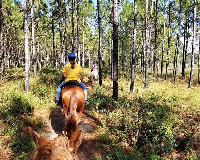 Saddle up for adventure: Horseback riders experience the trail from a different perspective, channeling Florida's rich cowboy heritage.