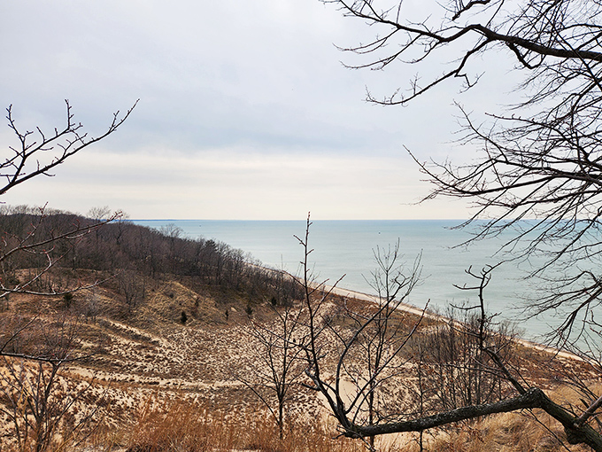 The panoramic vista rewards hikers who've conquered the dunes, Lake Michigan stretching endlessly toward the horizon.